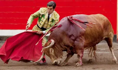 La corrida e i simbolismi dimenticati della tauromachia - Etnie